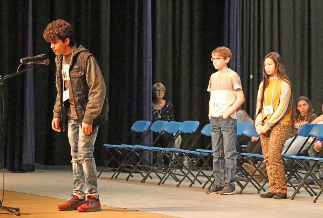 Two Bee finalists go 15 rounds before deciding words | News, Sports ...